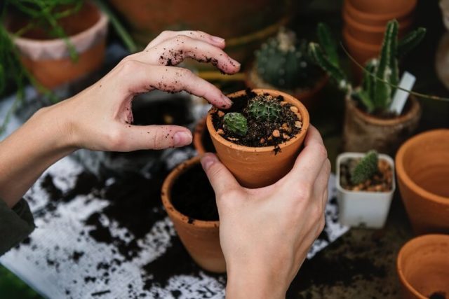 The best ways to use numbers and figures on your CV | CV-Library