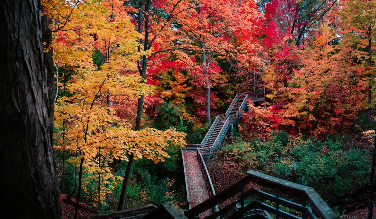 Timing is everything: A seasonal guide to job hunting success